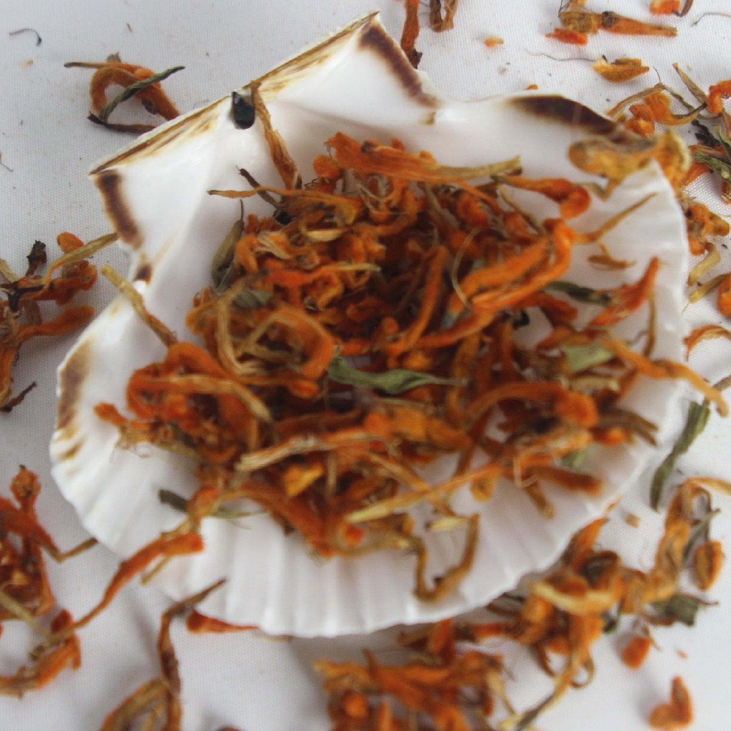 Les plantes hallucinogènes : des psychotropes naturels – PlantesAFumer